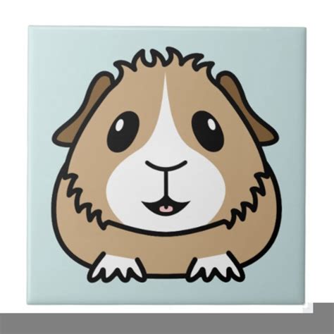 Clipart Guinea Pigs Free Images At Clker Vector Clip Art Online