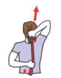 Exercices Avec Elastiband Pour Muscler L Ensemble De Son Corps