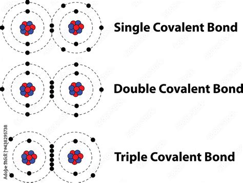 Covalent Bonds Single Double Triple Stock Vector Adobe Stock