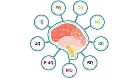 Iq Eq Pq Sq C C Ch S Nh Tuy N D Ng Quan T M