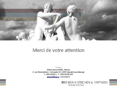 LEMPLOYEUR FACE A LUTILISATION DES RESEAUX SOCIAUX PAR