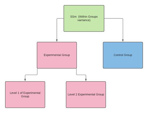 Ps Final Diagram Quizlet