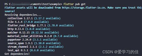 【教程】flutter与rust完美交互，无需手写ffi代码flutter Rust Csdn博客