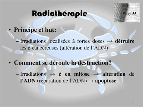 Les Traitements Ppt T L Charger