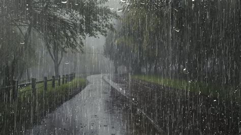 Sonido De Lluvia Cayendo En El Camino Tranquilo Ruido Blanco Perfecto