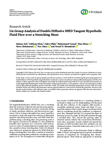 pdf lie group analysis of double diffusive mhd tangent hyperbolic fluid flow over a stretching