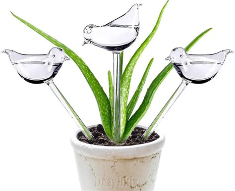 Ahhute Glass Watering Globe Pack Plant Watering Bulbs Bird Shape