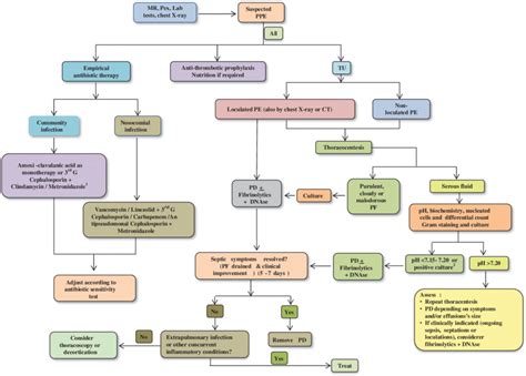 Treatment Algorithm For Parapneumonic Pleural Effusion Ct Computed