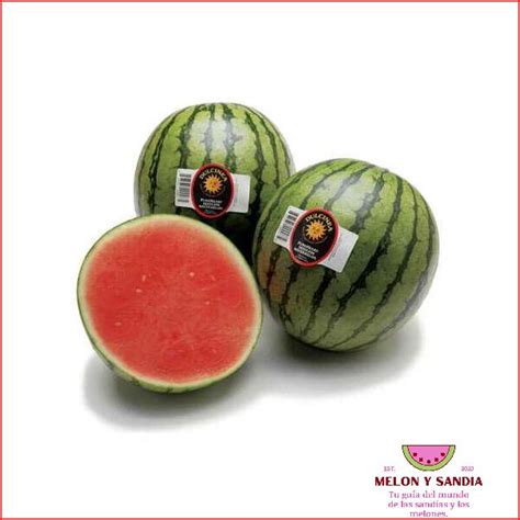 Historia Y Origen De Los Melones Dulcinea Melonysandia