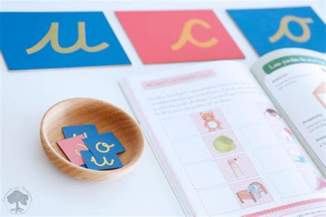 Cuadernos De Actividades Vacaciones Con Montessori Creciendo Con