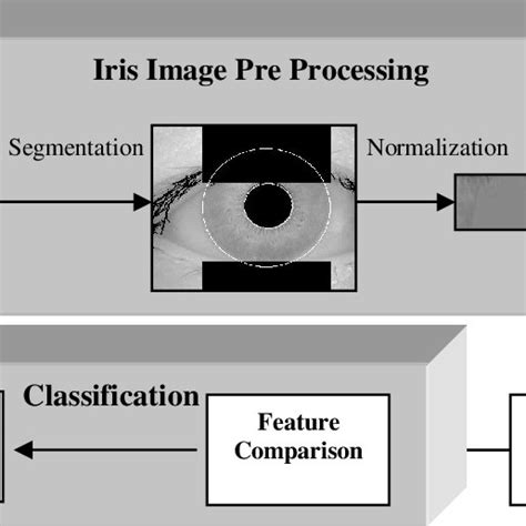 flow diagram of the proposed iris recognition scheme download scientific diagram