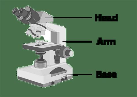 Parts Of A Microscope With Labeled Diagram And Functions Biology Notes Web