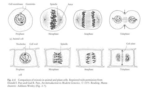 Biology Images