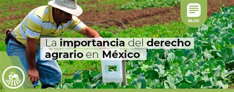 La Importancia Del Derecho Agrario En M Xico