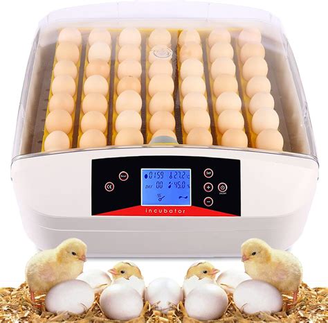 OppsDecor Incubadora De Huevos Incubadoras Para Incubar Huevos Con Giro