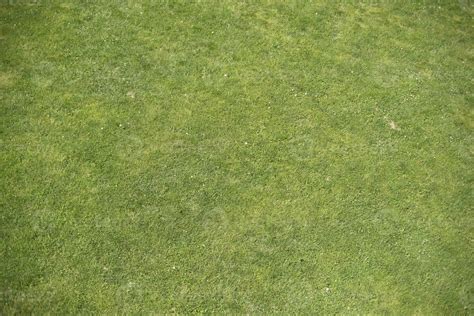 Green Grass Top View Field Lawn In Park 26680084 Stock Photo At Vecteezy