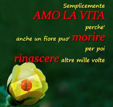 Diavolo D Amore Cliccate Mi Piace Sulla Nostra Pagina Facebook Click