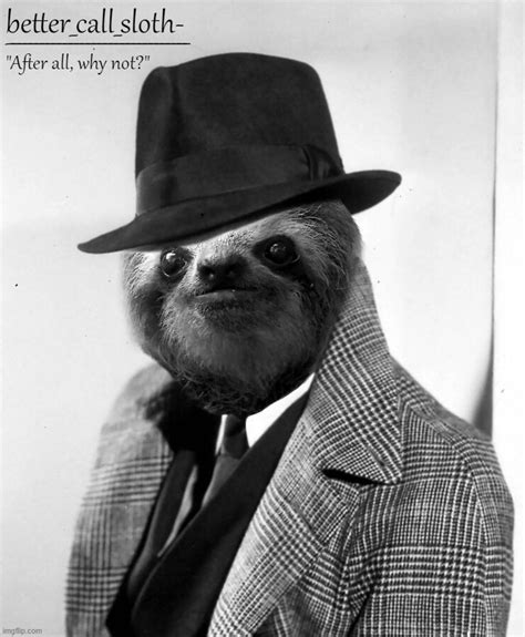 Better Call Sloth Announcement Template Imgflip