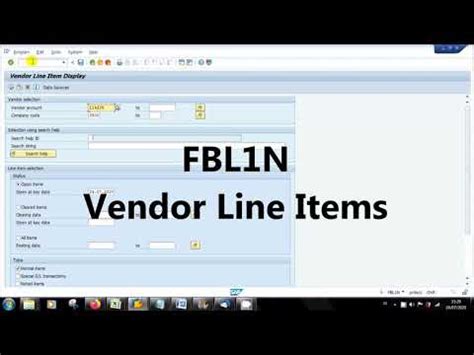 Sap Fbl N Vendor Line Items Youtube