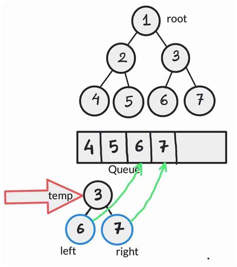 binary tree level order traversal level order traversal of tree in java