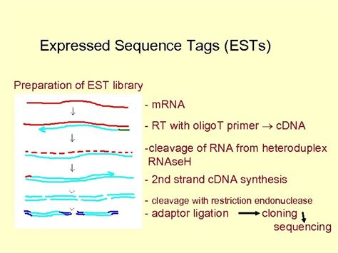 genomics gene expression genome maping