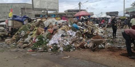 Traitement des ordures à Douala Plus de 50 hectares pour leur