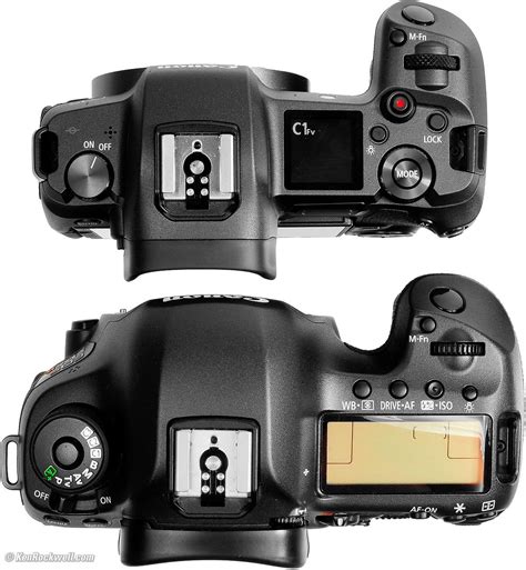 Canon Eos R Vs Eos Rp Five Key Points Analysed Artofit