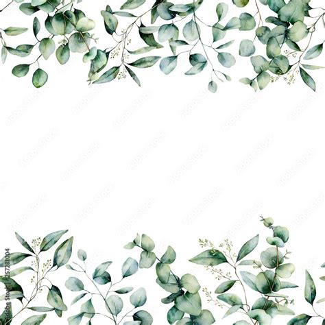 Watercolor Different Eucalyptus Seamless Border Hand Painted