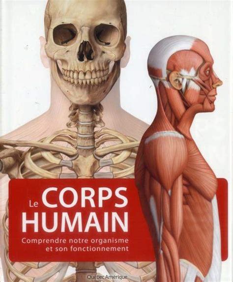 Tableau Des Syst Mes Du Corps Humain Et De Leurs Fonctions