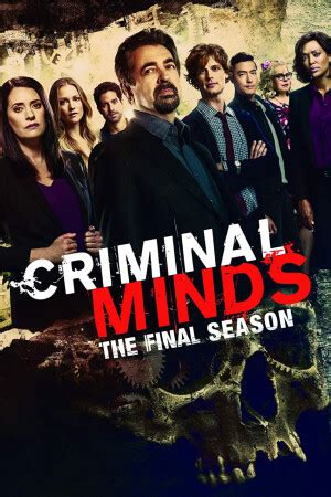 Criminal Minds Staffeln Und Episodenguide Alle Infos NETZWELT