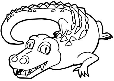 Desenho Para Colorir Jacare Imagem Jacare Desenho Para Colorir Porn