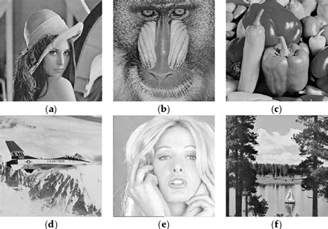 figure 1 from self embedding authentication watermarking with effective tampered location
