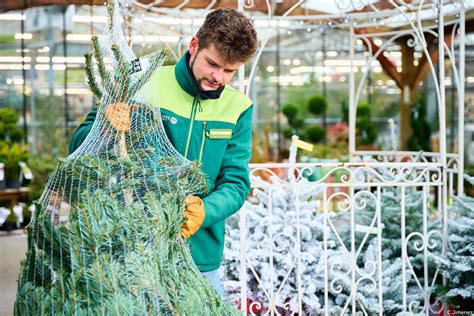 Offre Emploi CDI Responsable de Magasin Adjoint Gamm Vert Bourg lès