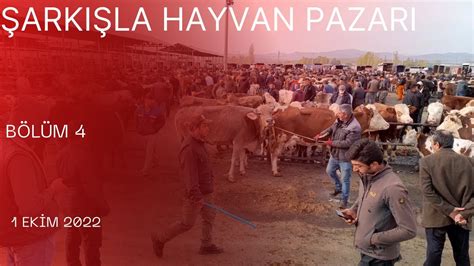 ŞARKIŞLA HAYVAN PAZARI BÖLÜM 4 1 EKİM 20222 YouTube