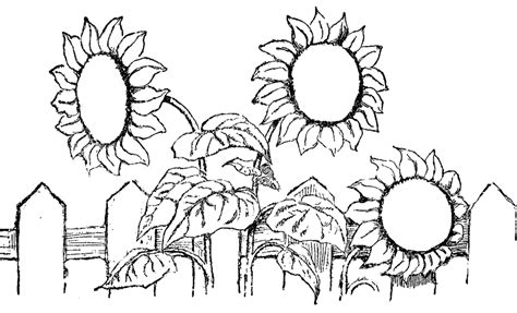 Mario Fire Flower Coloring Page Clip Art Library
