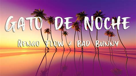 Engo Flow Ft Bad Bunny Gato De Noche Letra Lyrics Youtube