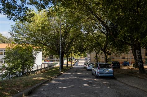 Arrancam obras de pavimentação em quatro artérias do Porto GO Porto