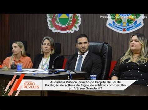 Resumo Audiência Pública e Entrevistas PL que proíbe a soltura de