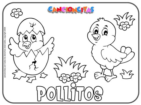 Pollitos Cancioncitas