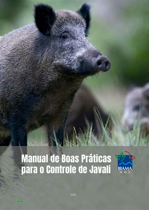 SOLUTION Manual De Boas Praticas Para O Combate De Javali Studypool
