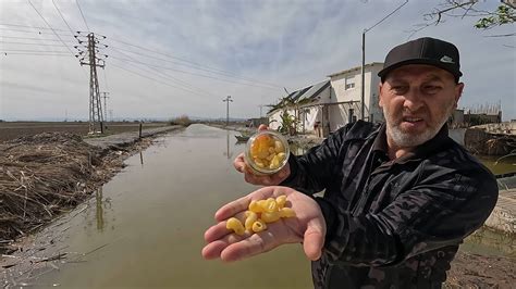 Pescuit La Pluta Cu Melci Momeala Devastatoare YouTube