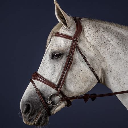 Dyón Träns Anatomisk Nosgrimma Kvalité Häst Hund
