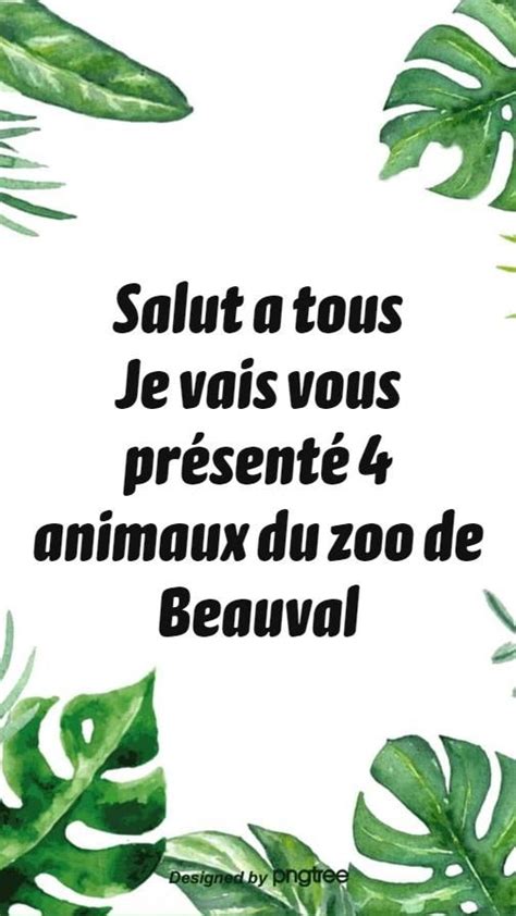 Découvrez 4 animaux exotiques du zoo de Beauval