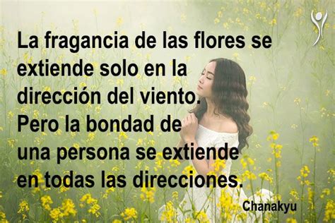 Frases Sobre La Bondad Y Hacer El Bien