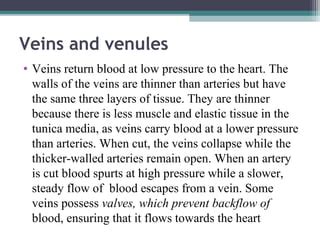 Hypertension PPT