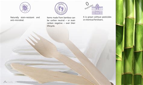 Kaelis World Eco Friendly Products Bamboo Fibre Disposable