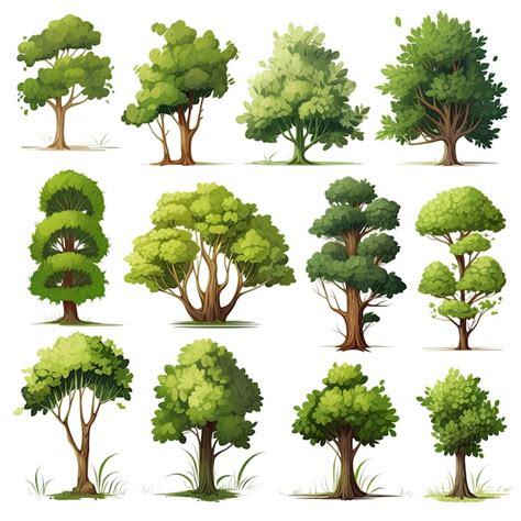 Estilo De Dibujos Animados De Rbol Plano D En Fondo Blanco Imagen