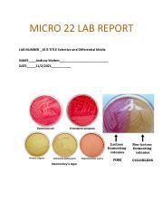 Lab 11Report Selective And Differential Media Pdf MICRO 22 LAB