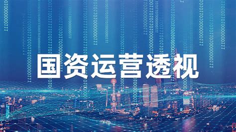 国资运营透视