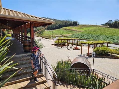 O que fazer em São Roque roteiro do vinho e principais atrações